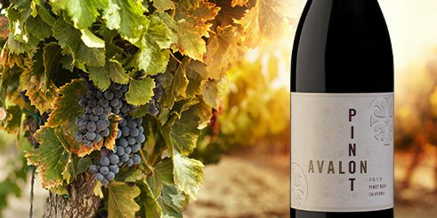 Avalon Winery - Wines for the Soul
